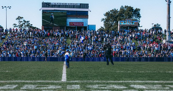 Game Day Guide: NRL Pre-Season Challenge Belmore Double Header | Bulldogs