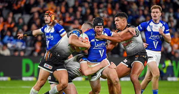 Bulldogs Gallant In Defeat To Tigers | Bulldogs